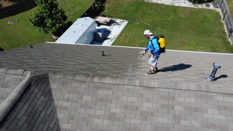 Home - Sealerix - NanoTech Roof Revival by GoNano